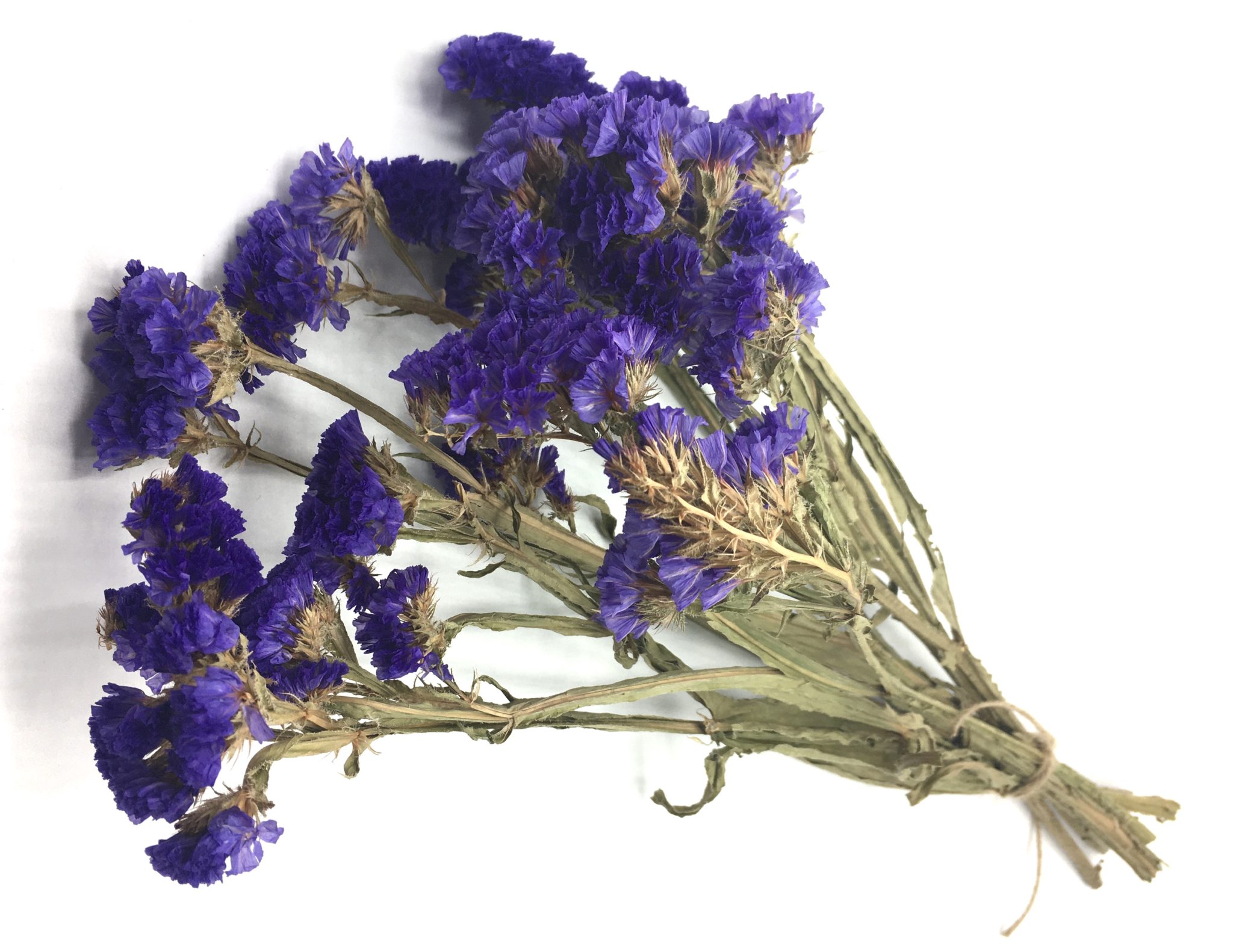 Purple Statice Dried Flowers - The Parsons Wreath Company